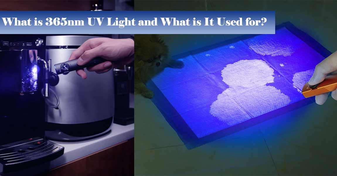 What Is 365 Nm UV Light And What Is It Used For 